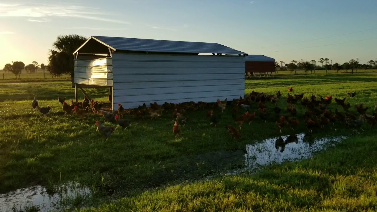 Circle C Farm - YouTube