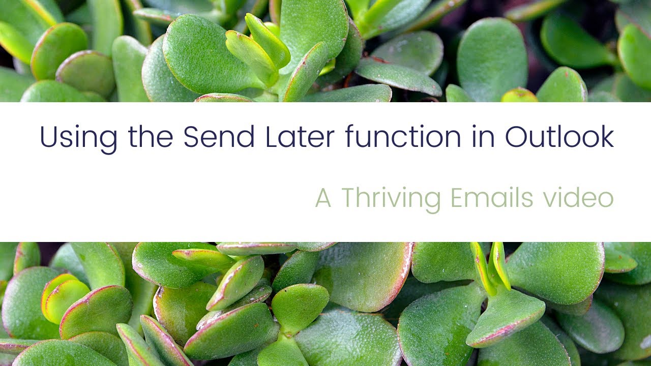 Thriving Emails - Using the Send Later function in Outlook - YouTube