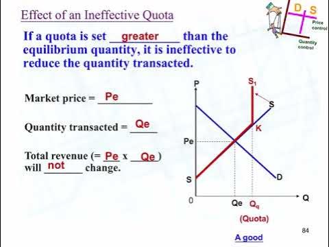 Micro Ch 6 Price control and quota: video 17 - YouTube