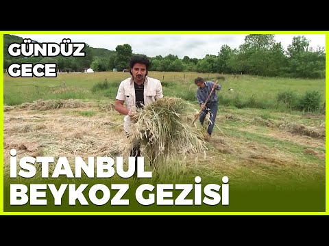 Gündüz Gece - İstanbul/Beykoz/Paşamandıra Köyü | 6 Haziran 2020