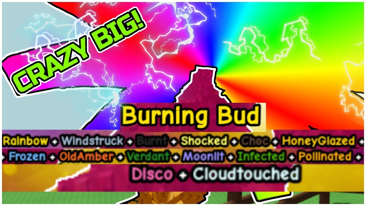 The Best Burning Bud Mutation You Can Easily Get in Grow A Garden - YouTube