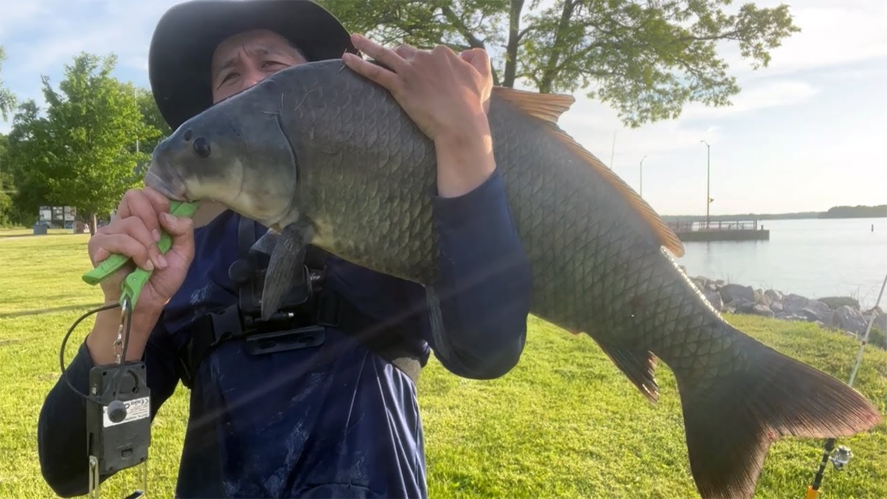 Giant Buffalo and Carp on Lake Wisconsin(New PB) - YouTube
