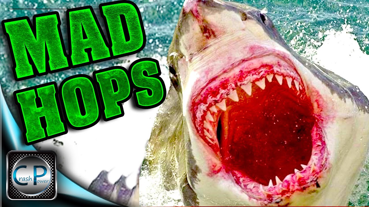 "MAD HOPS" ACHIEVEMENT/TROPHY (Jumping Over Sharks) Call of Duty ...