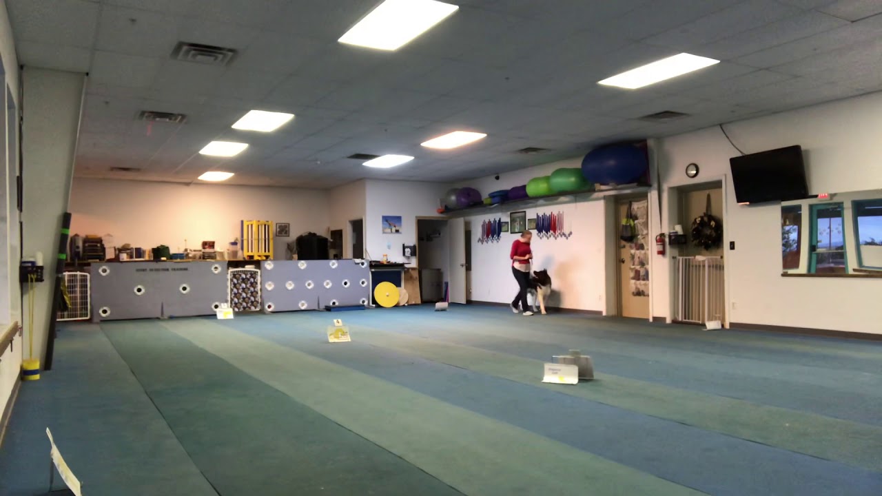 WRCL - Friday - event 109003 module 2 - YouTube