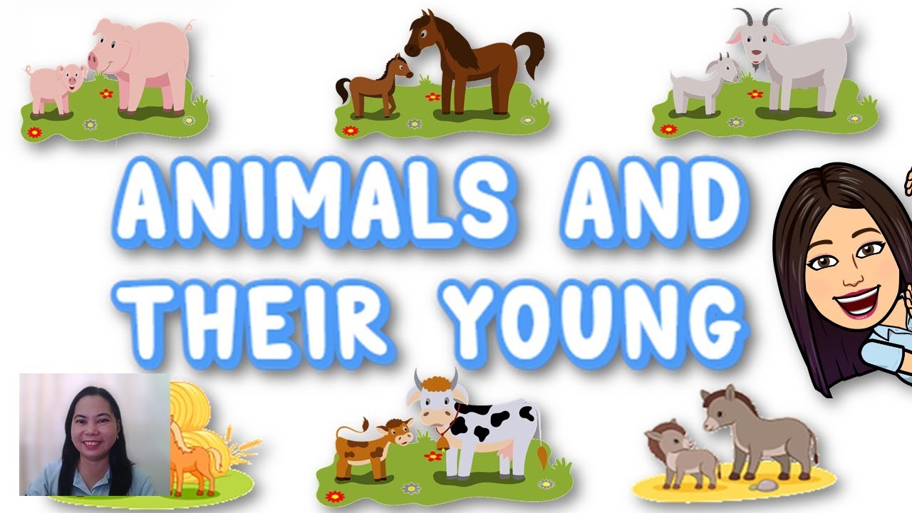Animals and Their Young | Animals and Their Babies | Baby Animals ...
