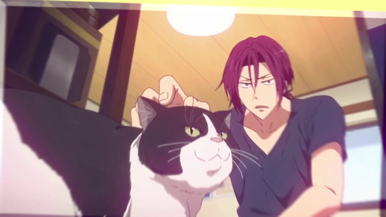 Rin edit ( Free! ) 🦋 - YouTube