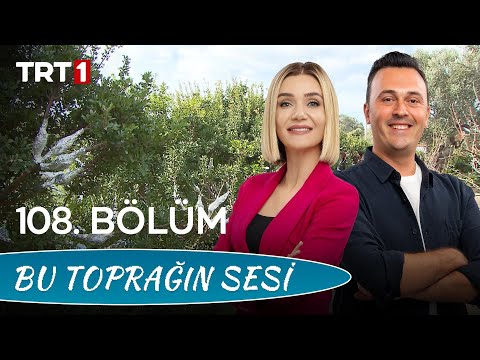 Bu Toprağın Sesi 108. Bölüm - Türkiye’de Sakız Ağacı Yetiştiriciliği ve Damla Sakızı Üretimi