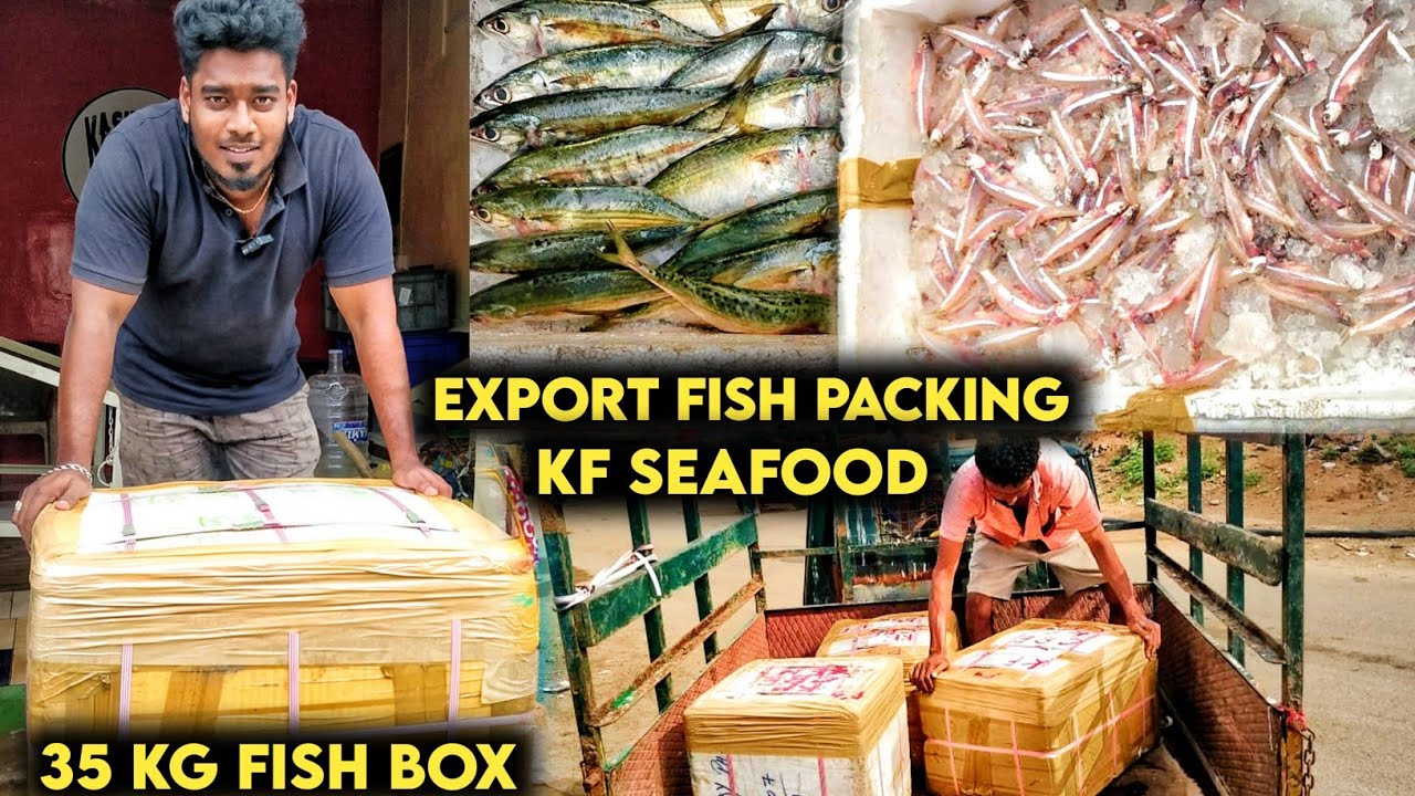 HOW TO MAKE FISH PARCAL BOX FOR OTHER CITYS| FISH PACKING | Kasimedu ...