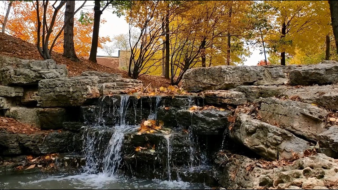 Fall Colors at the Vernon Hills Memorial Arbortheater - YouTube