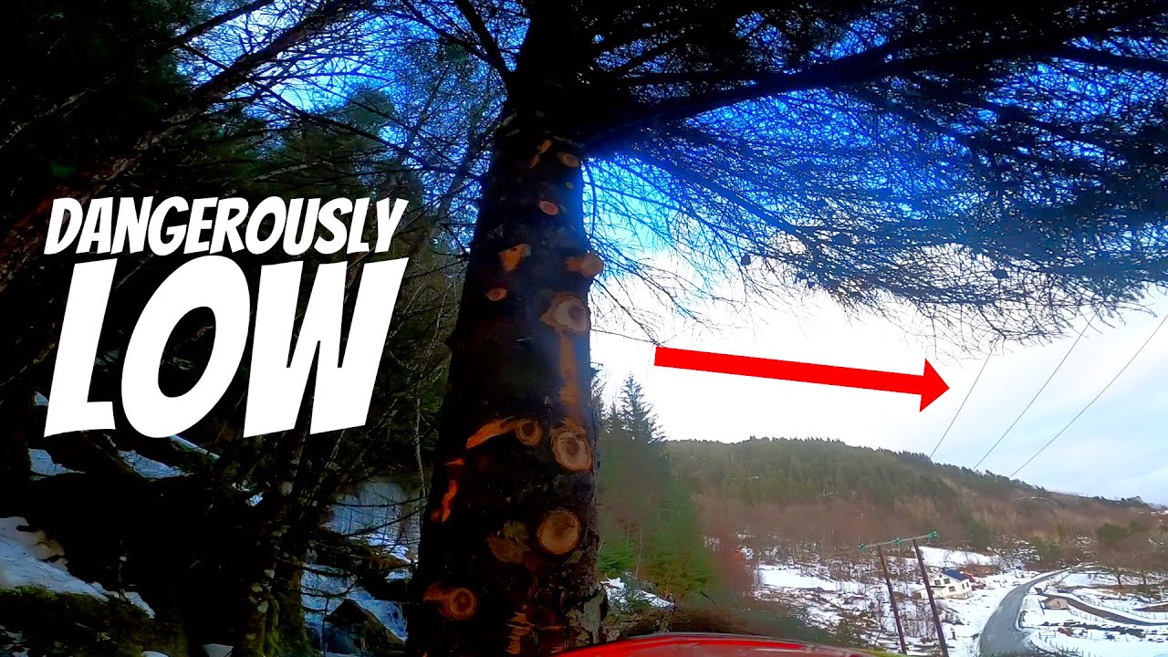 Complicated tree felling beside low transmission line Husqvarna Husky ...