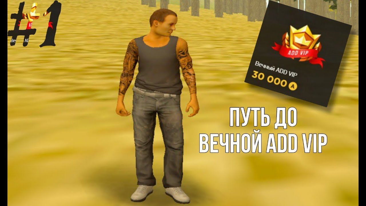 ПУТЬ ДО ВЕЧНОЙ ADD VIP 😱 | ARIZONA RP | SAMP | - YouTube