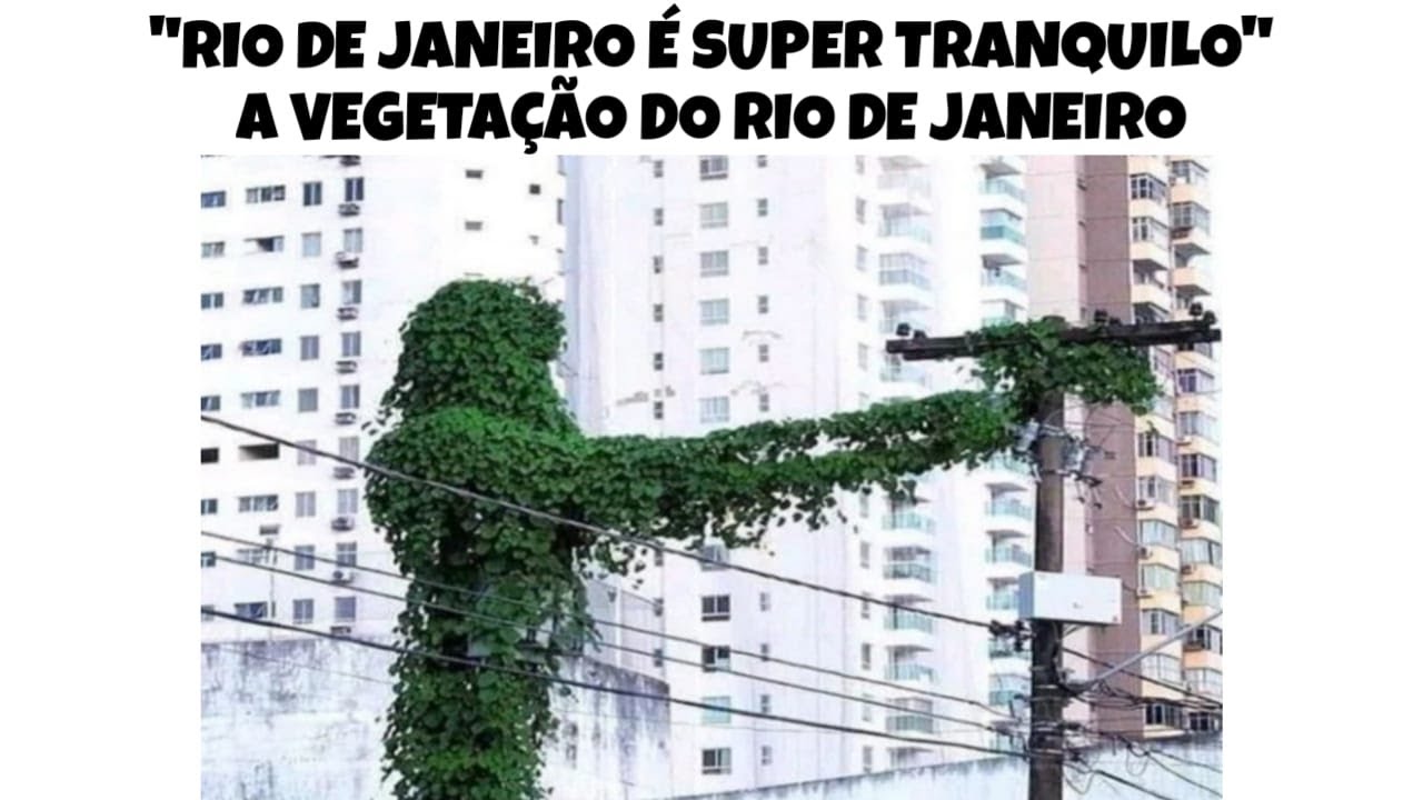 MELHORES MEMES EM IMAGENS - A VEGETAÇÃO DO RIO DE JANEIRO KKKK - YouTube