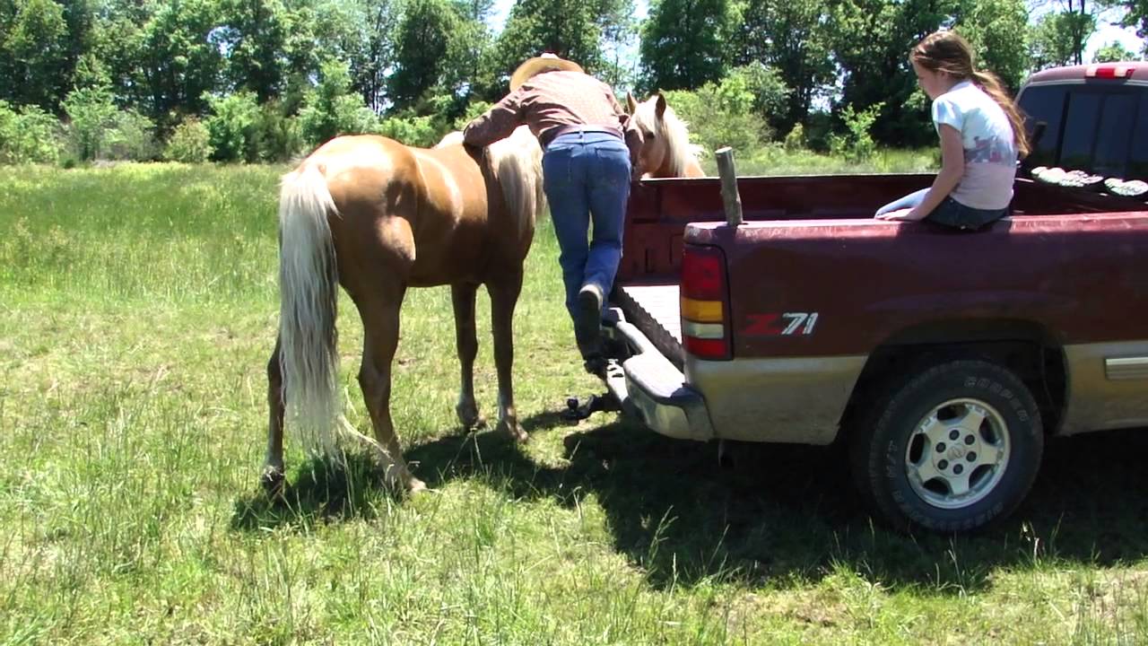 Hot Shot stallion - YouTube
