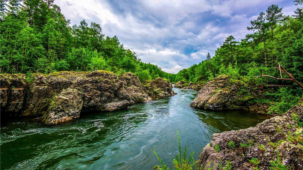 Morning Relaxing Music - Relaxing Music, Calming Music, Soothing ...