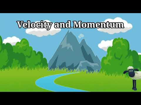 Velocity and Momentum animation - YouTube