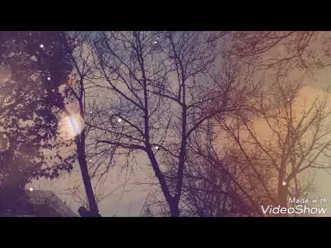 Samir Piriyev Nuray qizim