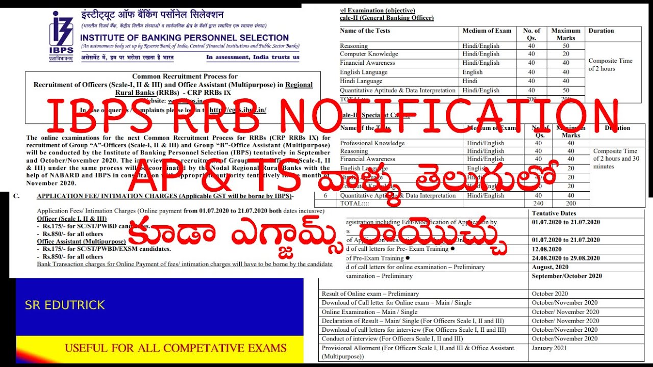 IBPS RRB | IBPS RRB Notification 2020 | IBPS | GRAMINA BANKS ...