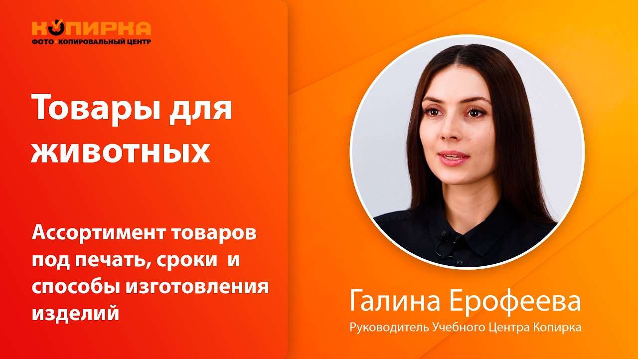 Товары для животных - YouTube