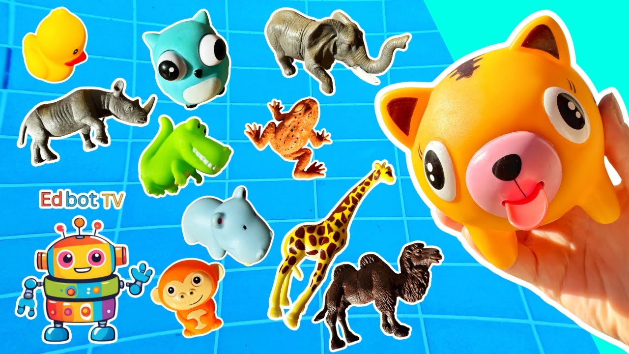 Sink or Float | Learn Animal Names at the Pool for Kids: Crocodile ...