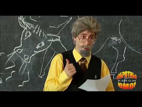 Спаривание 12 раз в день)))