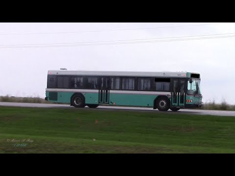 Short bus ride on board PalmTran bus 1511. 2015 Gillig LowFloor ...