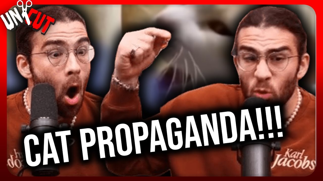 ""Defend THIS cat owners!" HasanAbi Reacts to UNUSUAL MEME Compilations ...