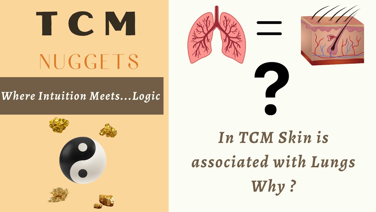 TCM Nuggets - Why Skin is Associated With Lungs in TCM ? - YouTube