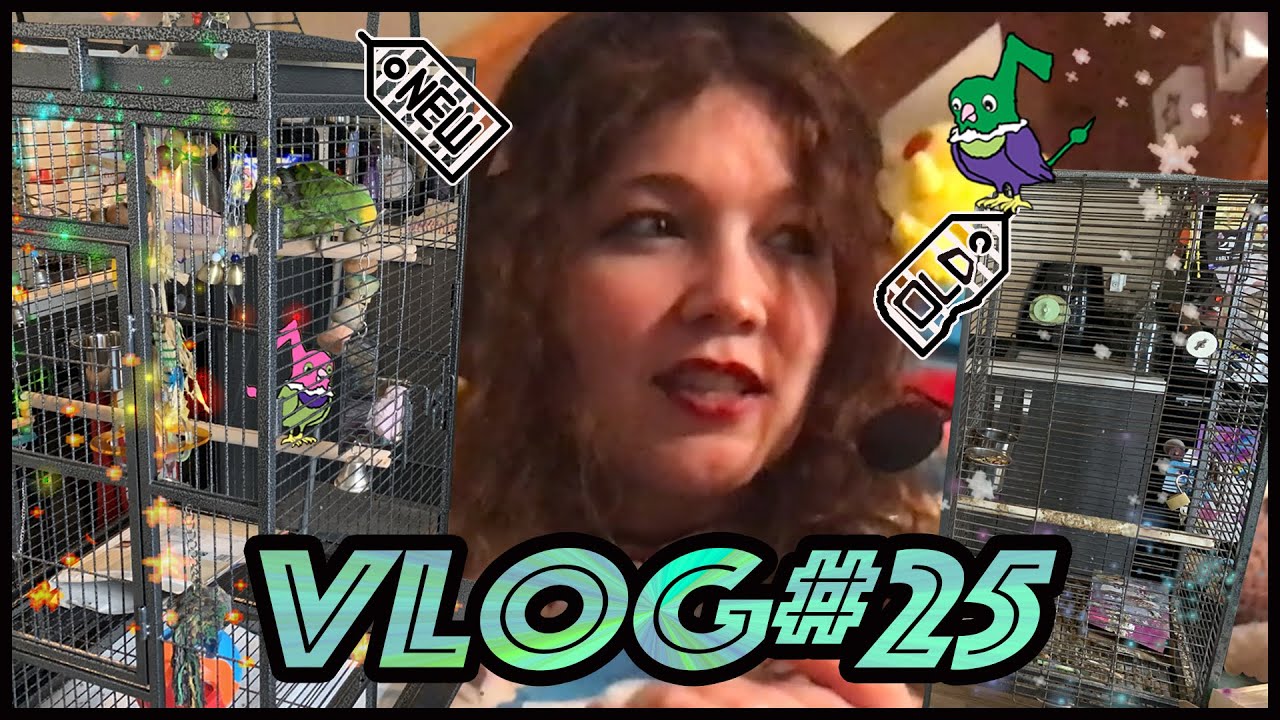 Vlog#25 - (Building A Birdy Home, Updates and Thanks 😁) - YouTube
