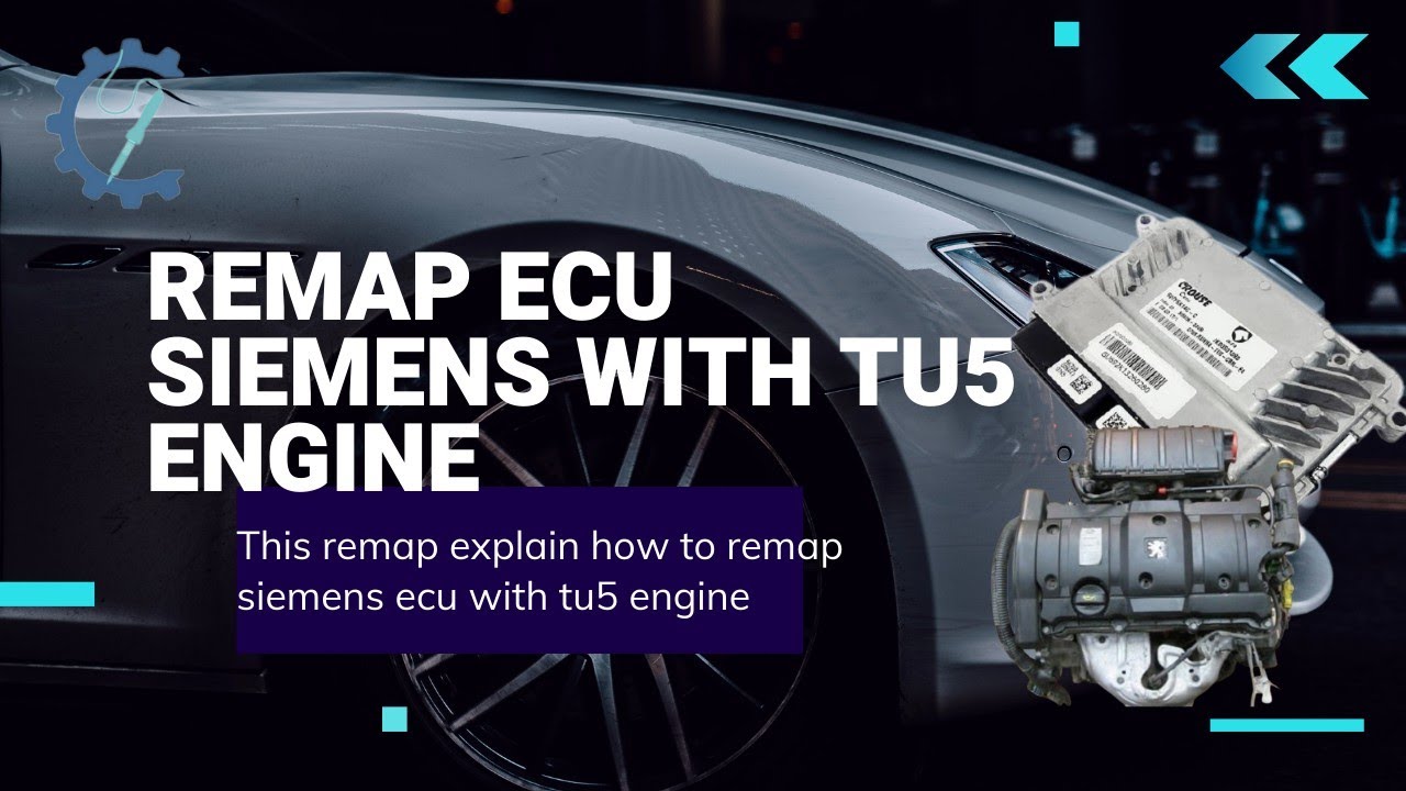 remap siemens ecu with tu5 engine (206) with TNM programer #car #206 #remap #qelectro #tuning # ...