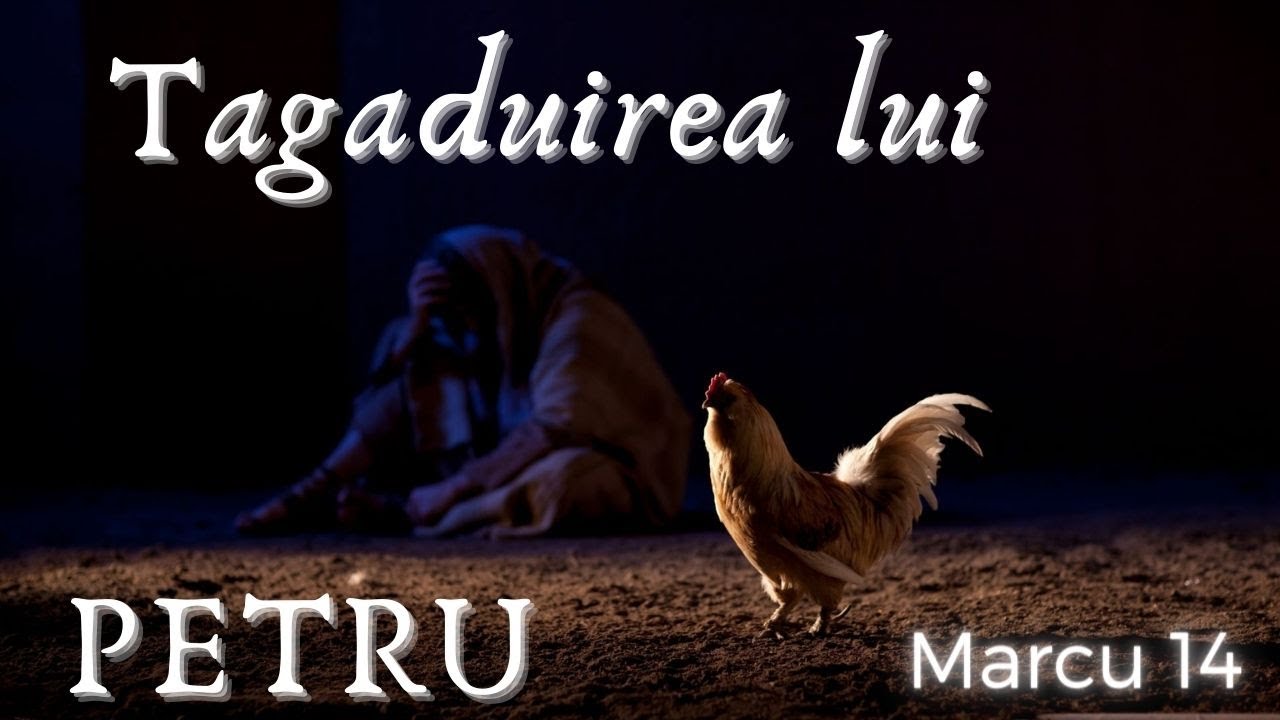 Marcu 14p5 Tagaduirea lui PETRU - Cocosul canta de DOUA ori. Ce ...