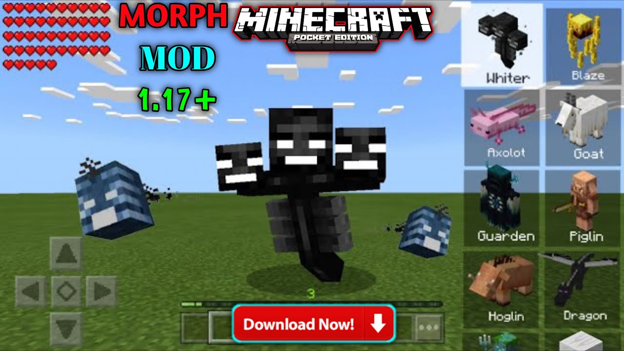 √morph mod for minecraft pe 1.17 |minecraft pe morph addon - YouTube