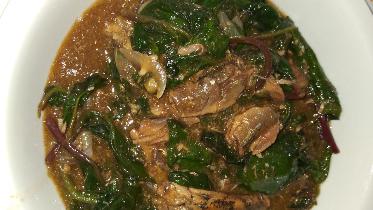Day10 of picking veggies|Alugbati with Sardines|| #alugbati #superfood ...