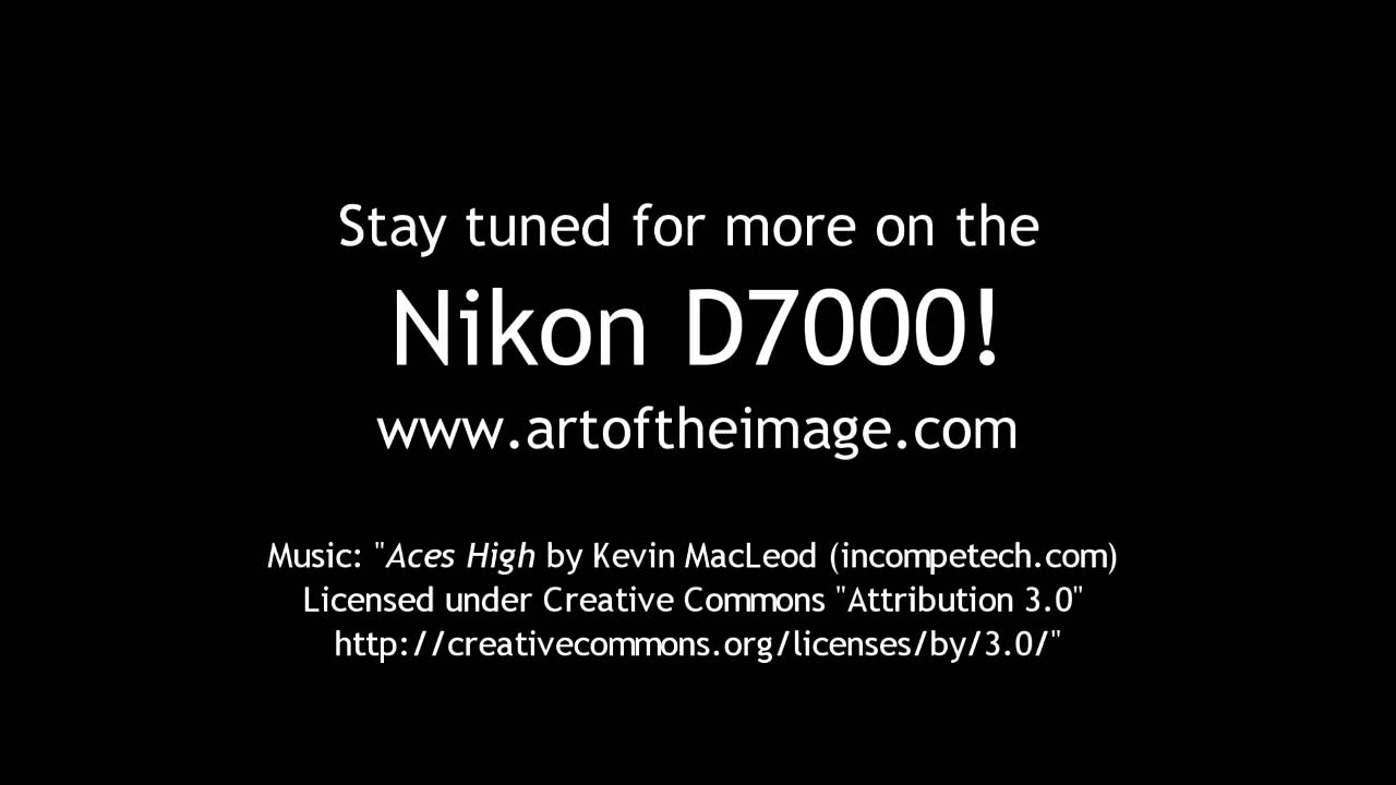 Nikon D7000 Locks Focus On Impossible Shot of Artic Wolves! - YouTube