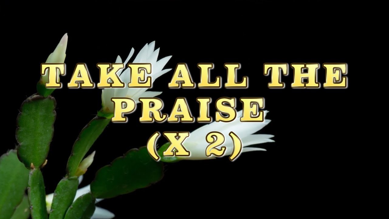 Take All The Praise (lyrics) - Eben - YouTube