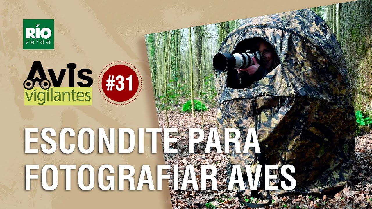 El escondite perfecto para fotografiar aves - YouTube