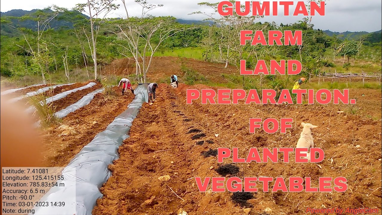 FARMING TIME MNGA LODS 🥕🍆🍆 LAND PREPARATION FOR PLANTED VEGETABLES ...