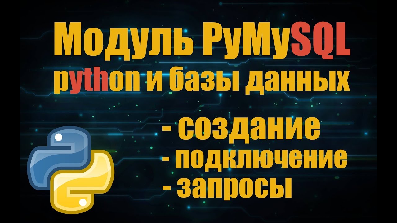 prog & mine. Модуль PyMySQL, NaviCat и работа с базой данных - YouTube