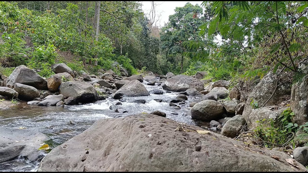 Flowing Harmony - Calming Stream Through Scenic Hillside Make Sleep ...