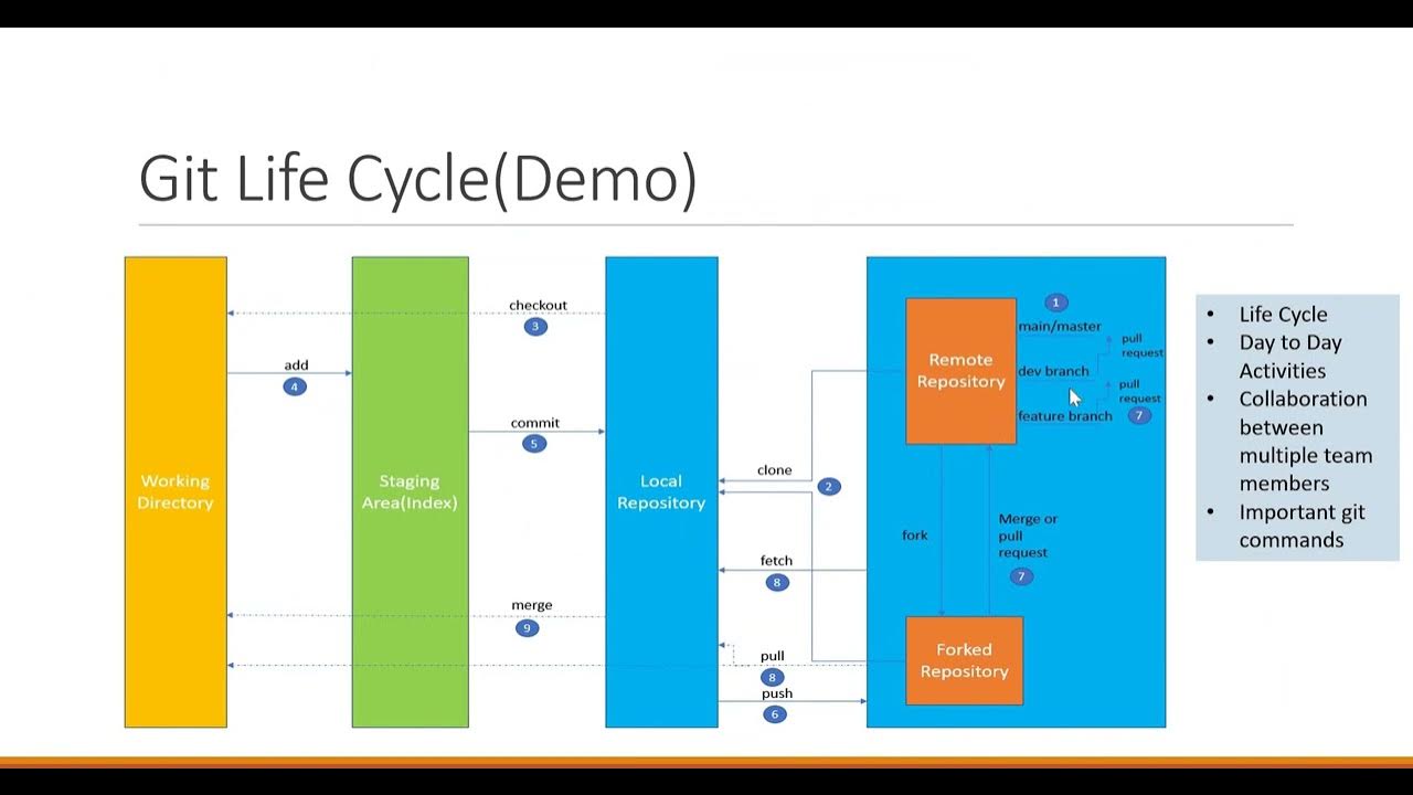 Git Life Cycle Demo(part2) - YouTube