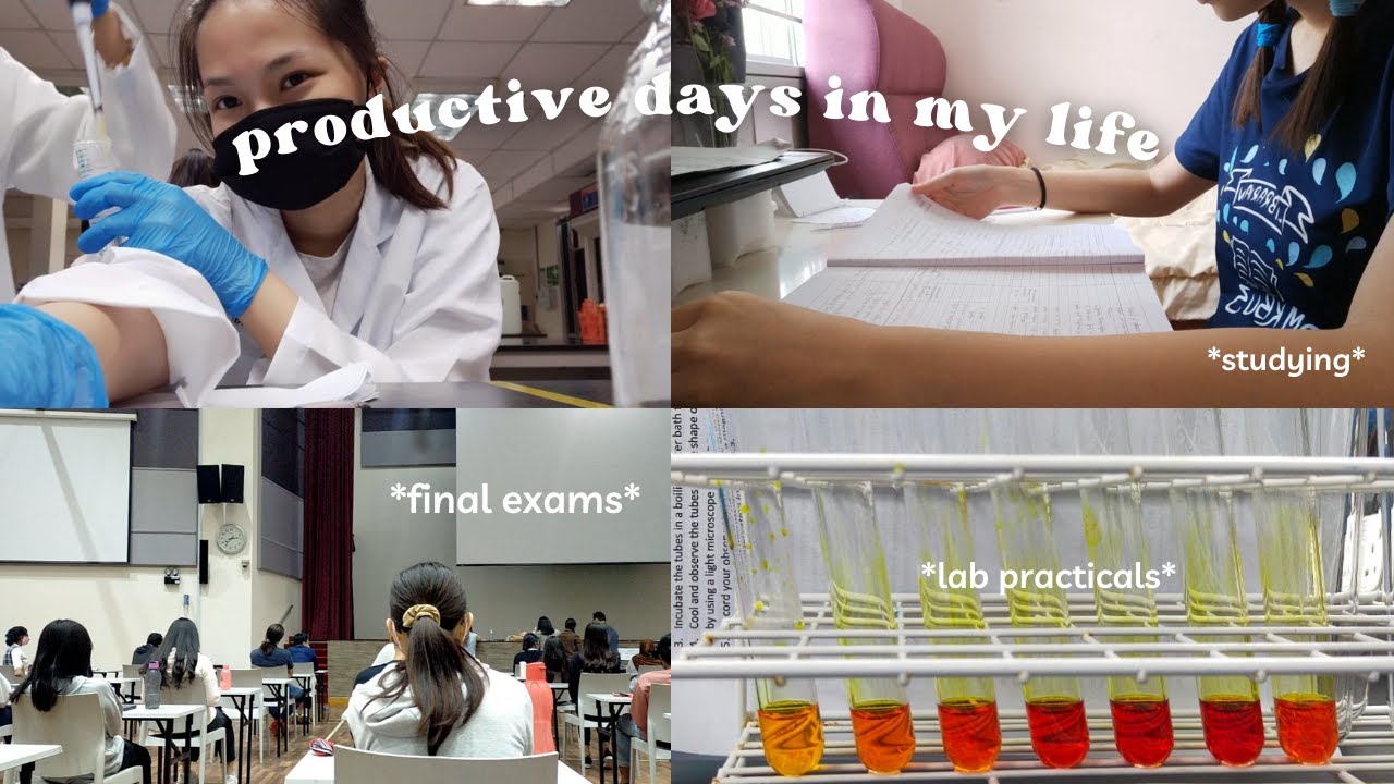 FINAL EXAM STUDY VLOG | Taylor’s University Food Science | lab ...