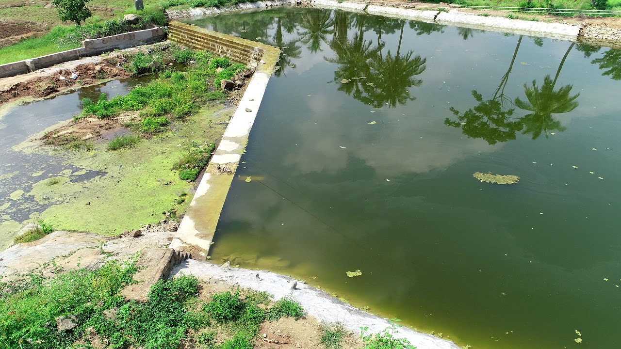 The lake development work was successfully built in Doddaalahalli ...