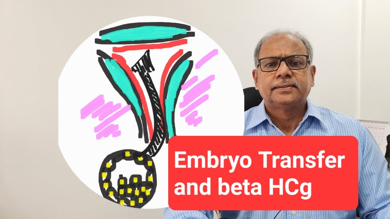 Beta HCG Test Why It Is Done After 12 13 Days After Embryo Transfer beta-hcg-test-why-it-is-done-after-12-13-days-after-embryo-transfer