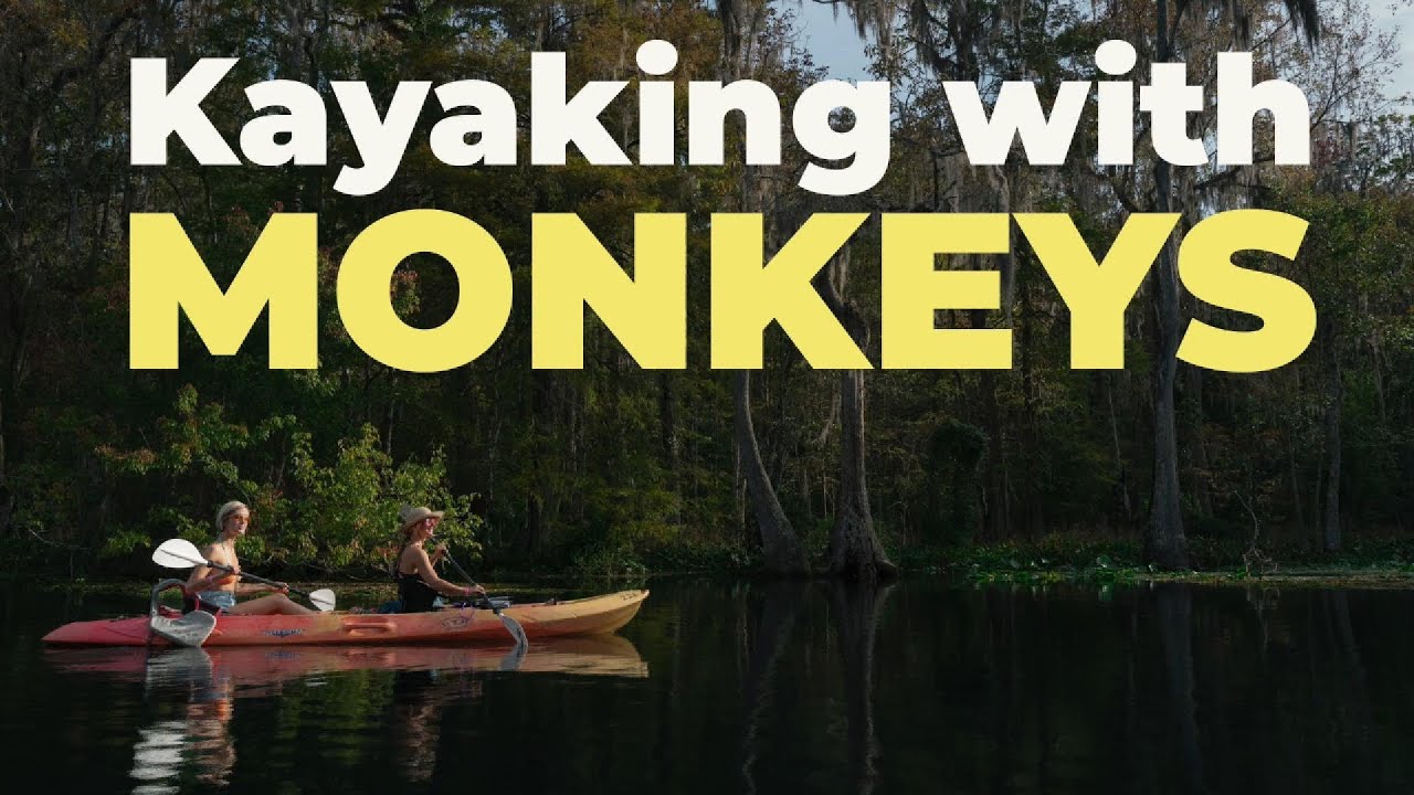 Kayaking With Monkeys - Silver Springs Florida - YouTube