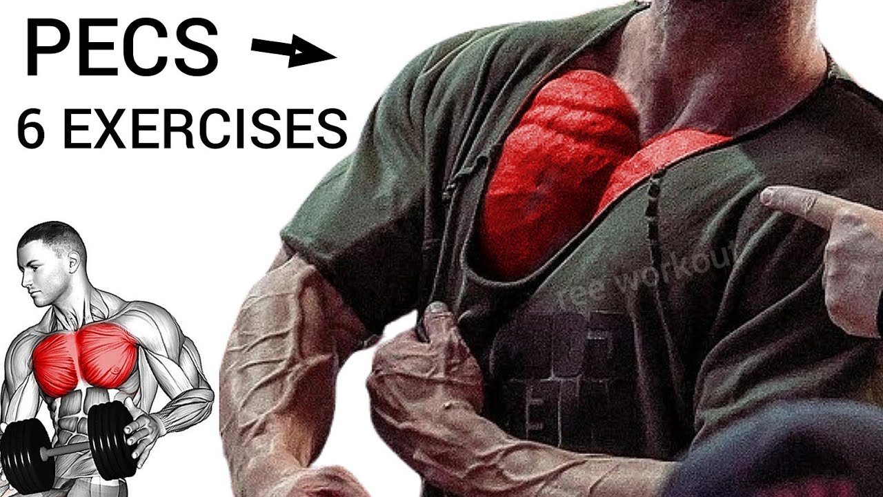 Build a Chiseled Big Pecs in 22 Days Best Workout - YouTube