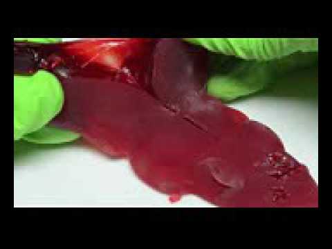 (Run for the cube). GUMMY RAT SONG PART - YouTube