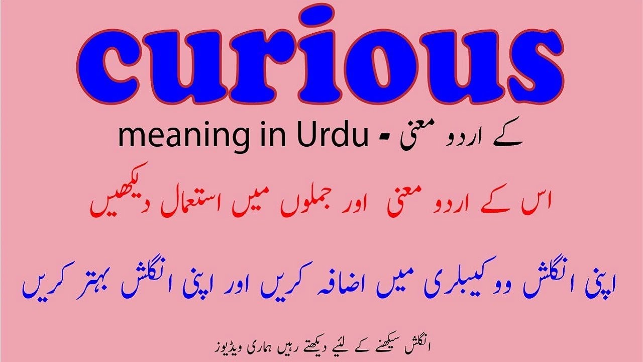 Curious Meaning In Urdu Curious In Urdu Curious Sentences Meaning Curious Meaning In Urdu Curious In Urdu Curious Sentences Meaning