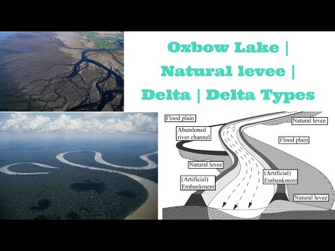 Oxbow Lake | Natural levee | Delta | Delta Types - YouTube