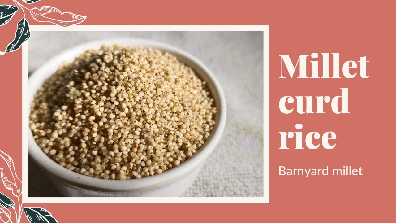 Barnyard Millet Recipe | Millet Curd Rice | Oodalu Millet Recipe - YouTube