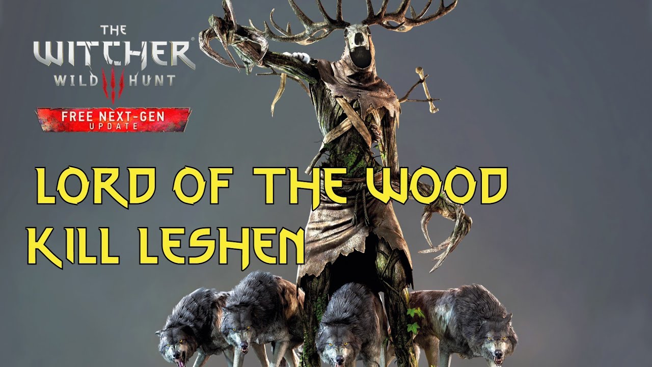 Lord of the Wood: The Witcher 3 Contract | Kill the Leshen - YouTube