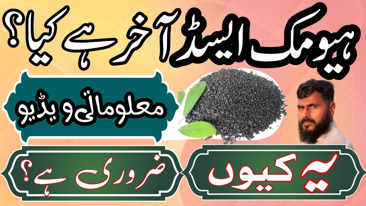 What is Exactly humic asid?And Why is it important?? - YouTube